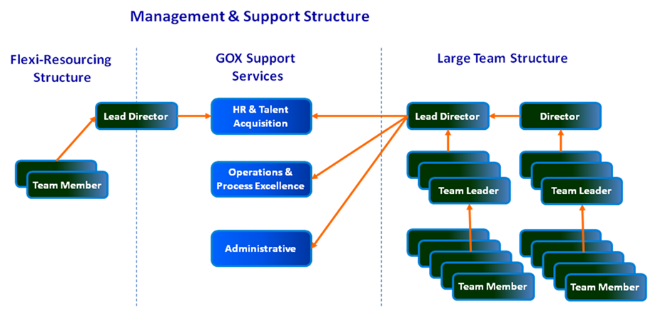 FAR Methodology – Gox Global – IT Advisory